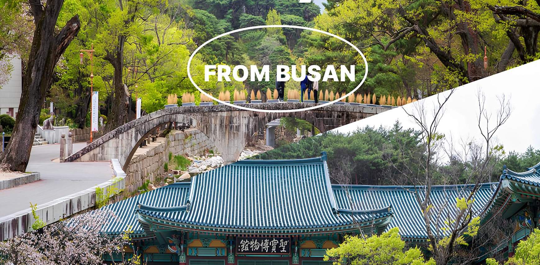 [BTO-Exclusive] Ulsan&Yangsan One Day Tour from Busan - Klook, Vereinigte Staaten